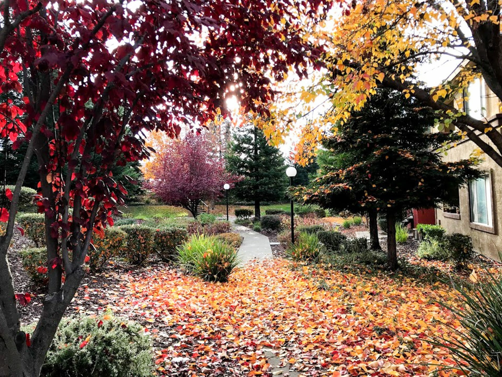 20 Best Fall Destinations In California - Small World This Is